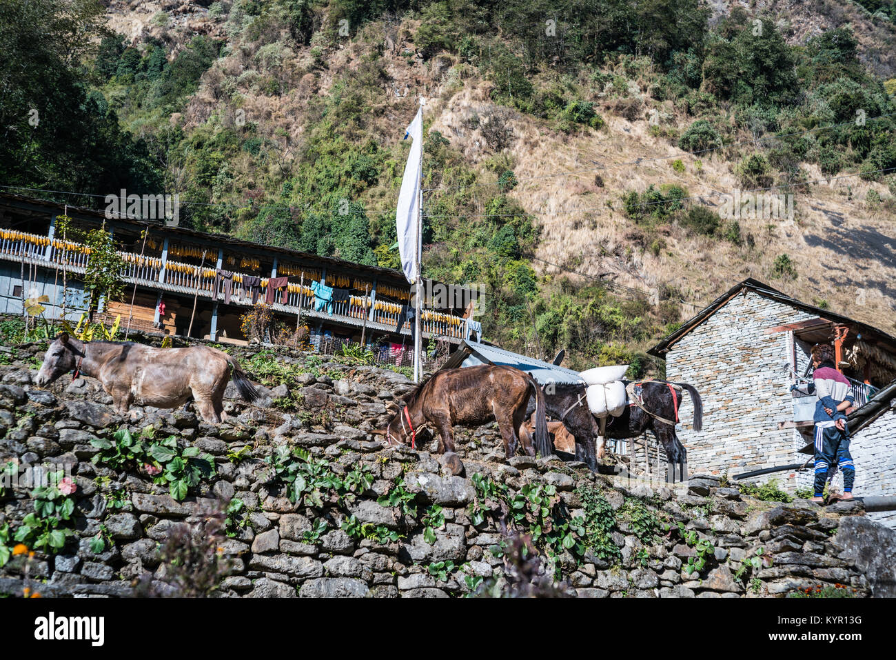 Chomrong Village High Resolution Stock Photography and Images - Alamy