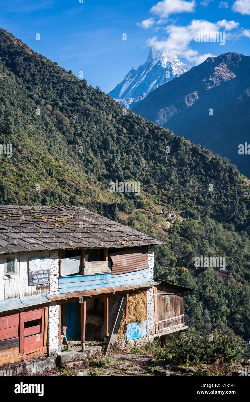 Chomrong, Annapurna base camp trek, Nepal, Asia Stock Photo - Alamy