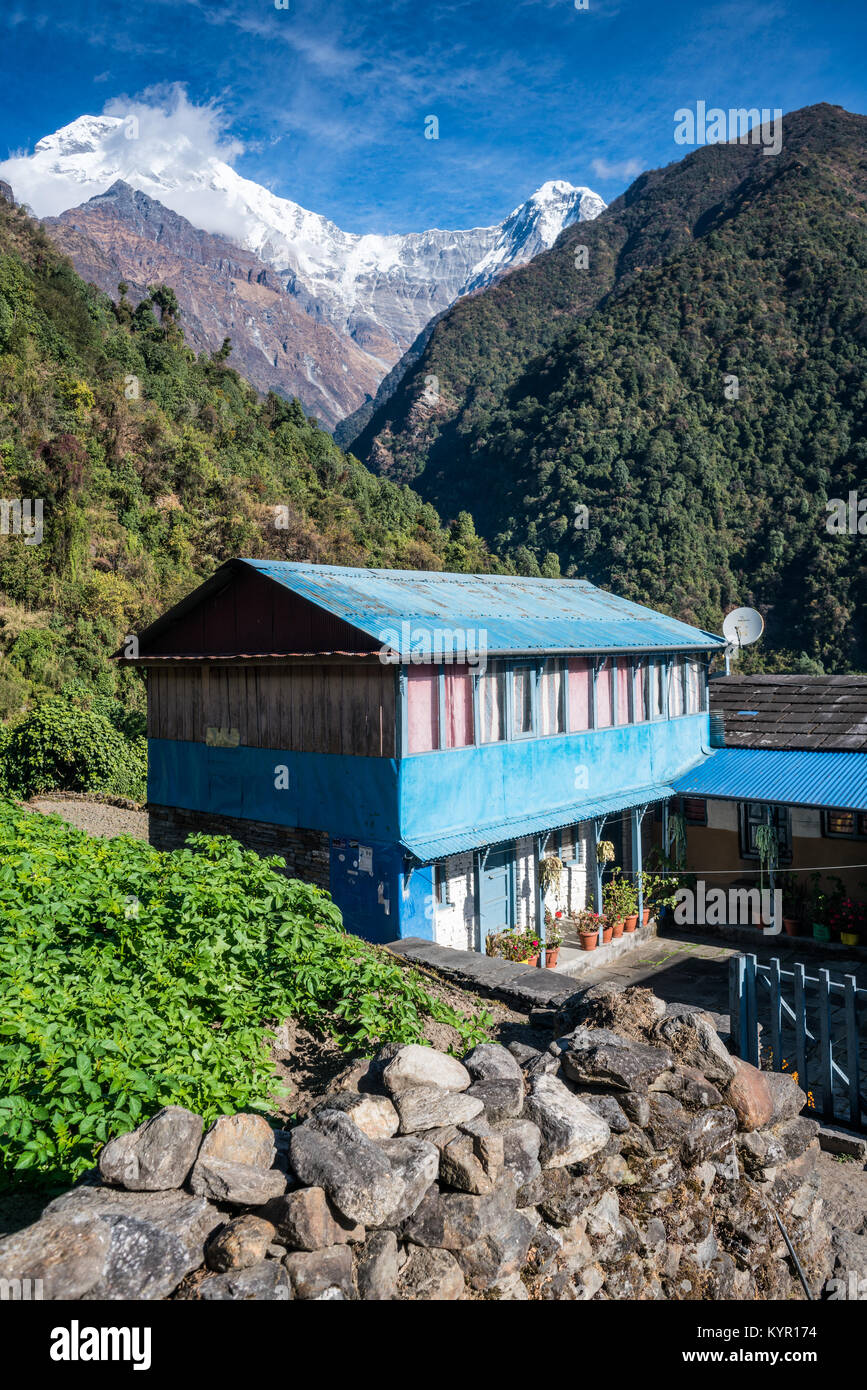 Chomrong, Annapurna base camp trek, Nepal, Asia Stock Photo - Alamy