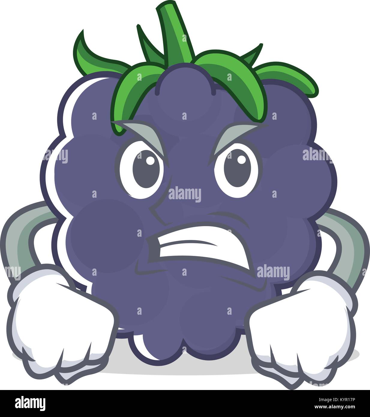 Angry blackberry mascot cartoon style Stock Vector Image & Art - Alamy