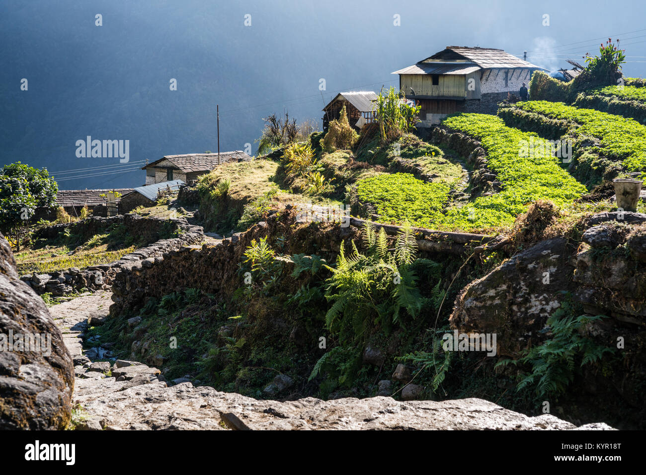 Annapurna base camp trek, Chomrong, Nepal, Asia Stock Photo - Alamy