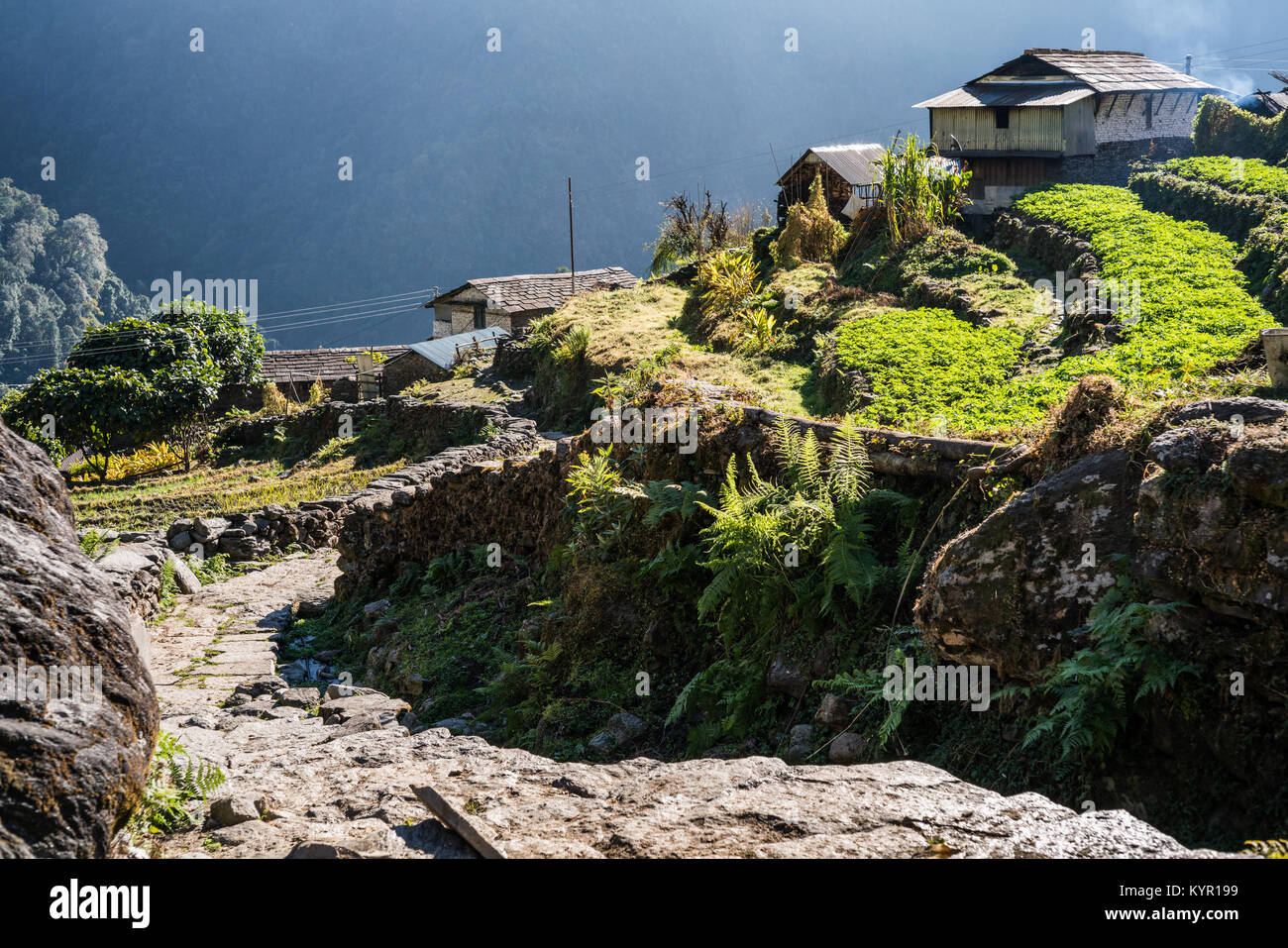 Annapurna base camp trek, Chomrong, Nepal, Asia Stock Photo - Alamy