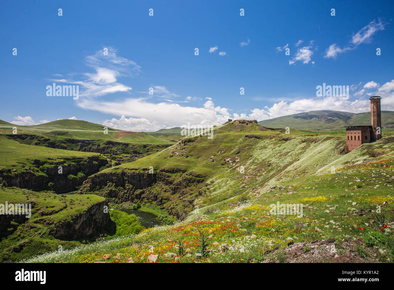 Ani is a ruined medieval Armenian city now situated in Turkey's ...