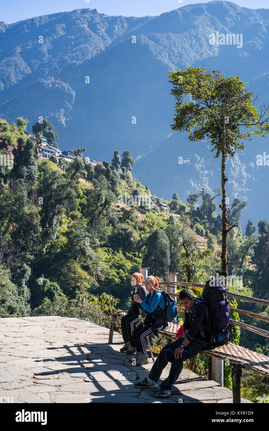 tourists on the ABC trek, Annapurna Base Camp in Nepal, Asia Stock ...