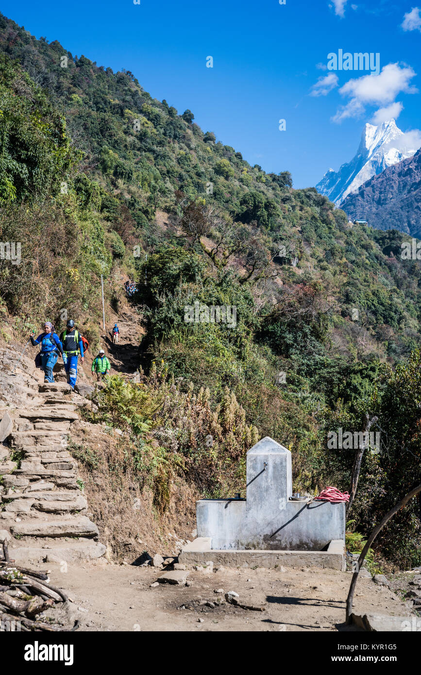 tourists on the ABC trek, Annapurna Base Camp in Nepal, Asia Stock ...