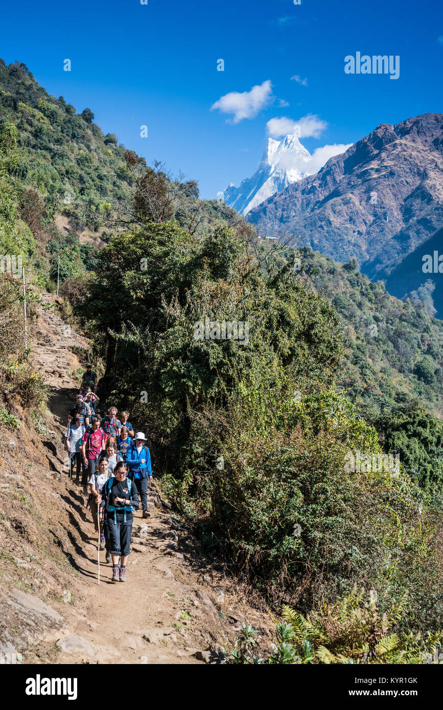 tourists on the ABC trek, Annapurna Base Camp in Nepal, Asia Stock ...