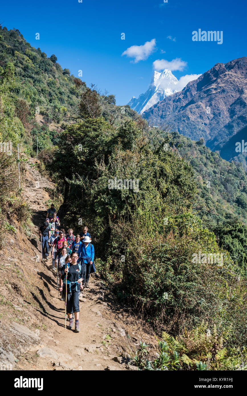tourists on the ABC trek, Annapurna Base Camp in Nepal, Asia Stock ...