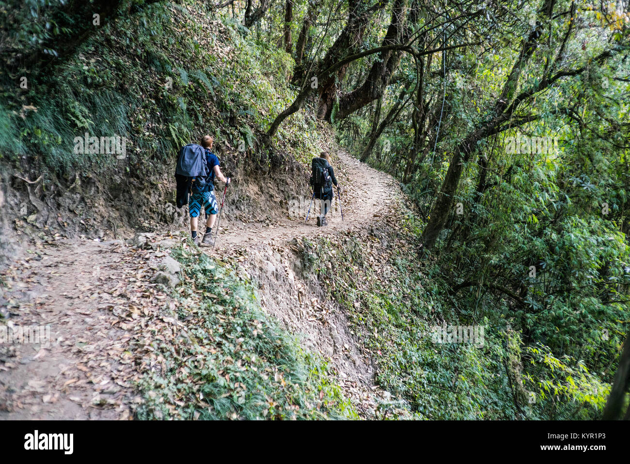 tourists on the ABC trek, Annapurna Base Camp in Nepal, Asia Stock ...