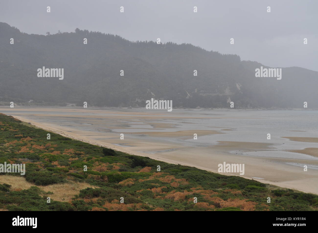 Beach on Wainui Bay, Abel Tasman National Park, New Zealand Stock Photo ...