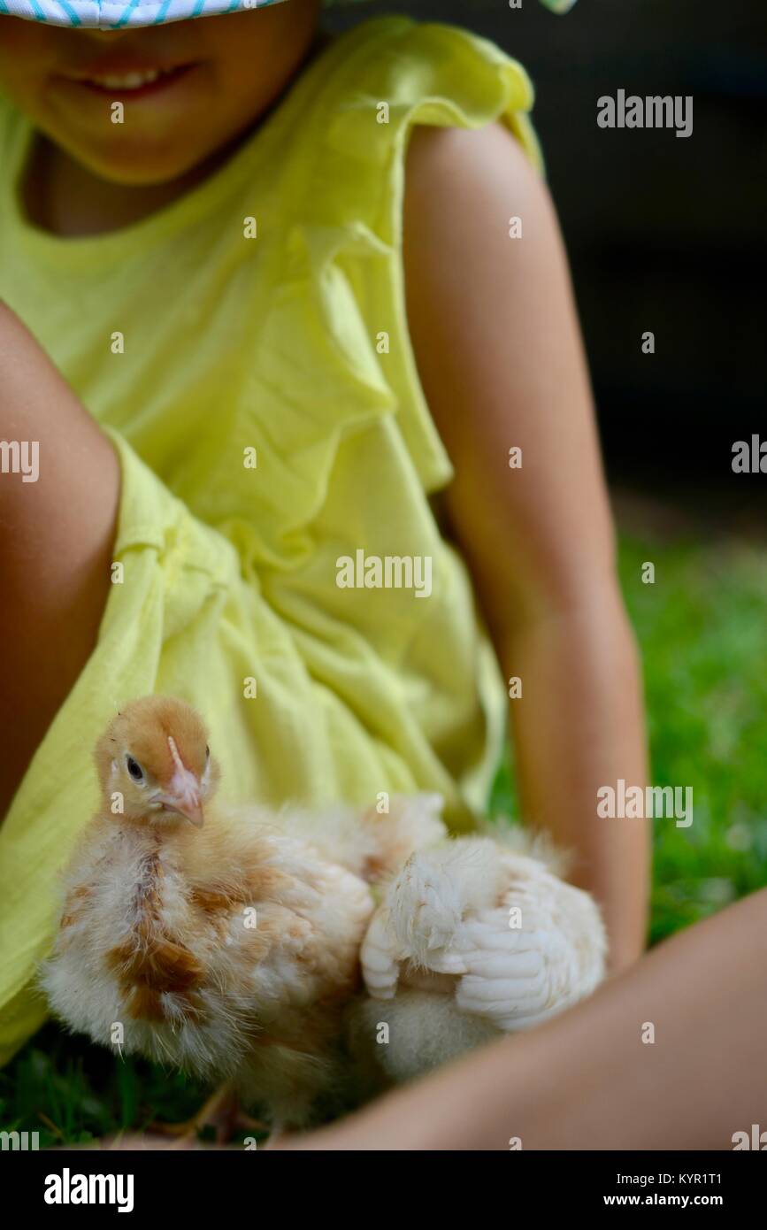 Children Playing With Pet Chickens High Resolution Stock Photography ...
