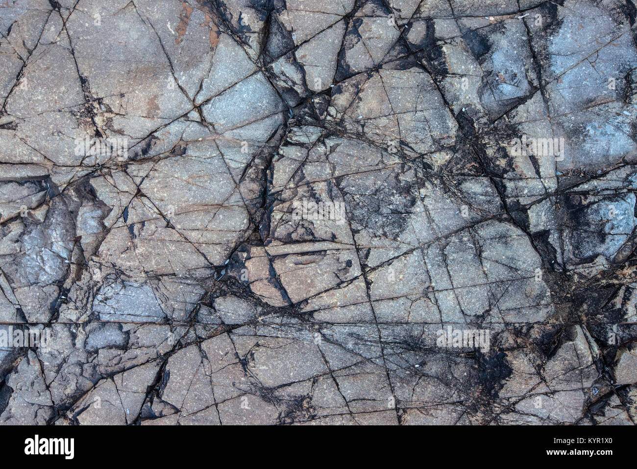 Closeup of a fossilized sea floor. Remnants of a shallow sea that once ...