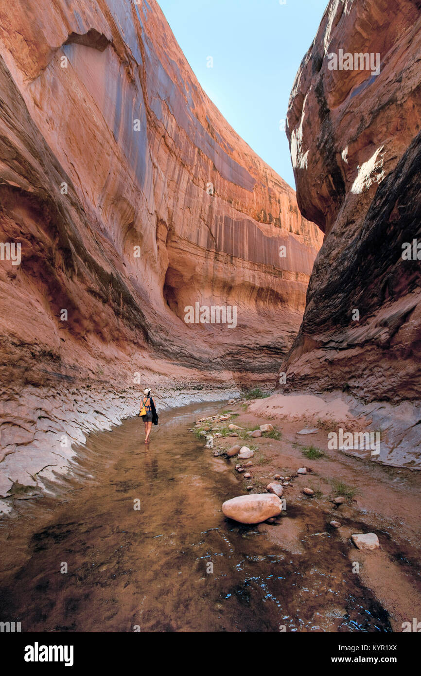 Exploring the side canyons of Glen Canyon and Lake Powell, Glen Canyon ...