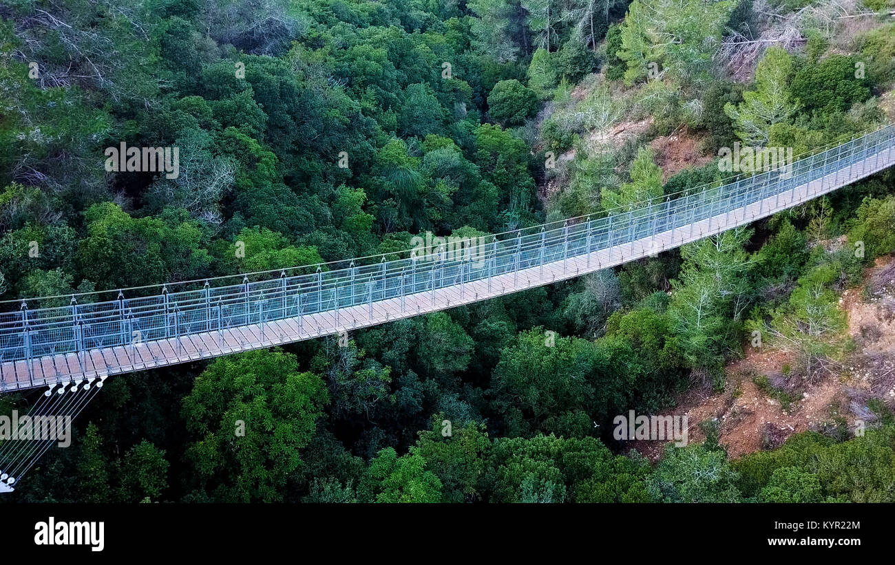 Lush green forest hi-res stock photography and images - Alamy