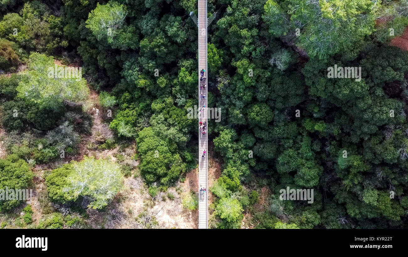 Suspension bridge surrounded by lush green forest - Top down aerial ...