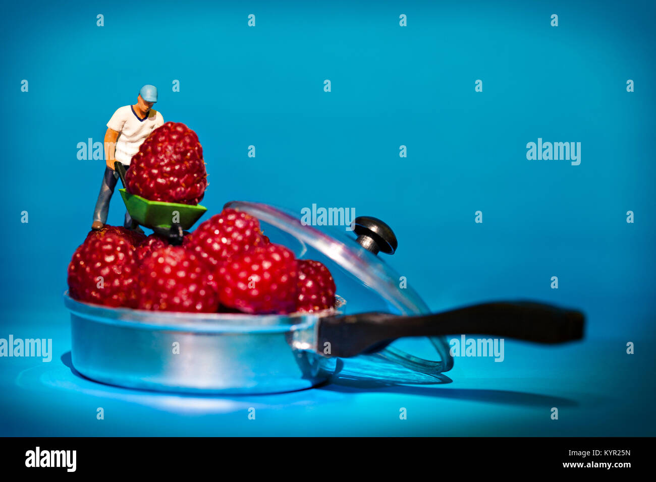 Man carry with a wheelbarrow raspberry from the pot with lid Stock ...