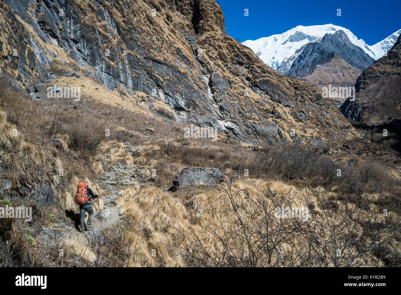 tourists on the ABC trek, Annapurna Base Camp in Nepal, Asia Stock ...