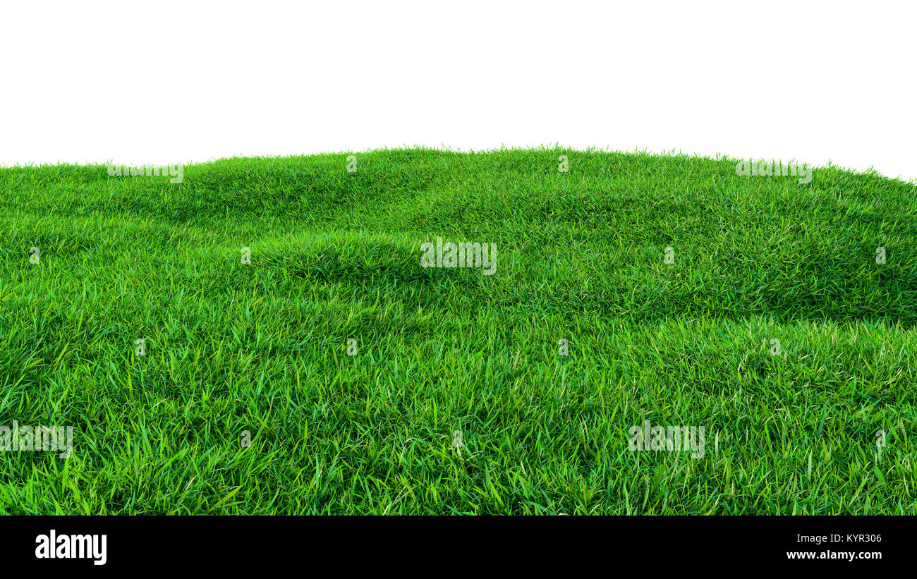 Green grass field on small hills, isolated Stock Photo - Alamy