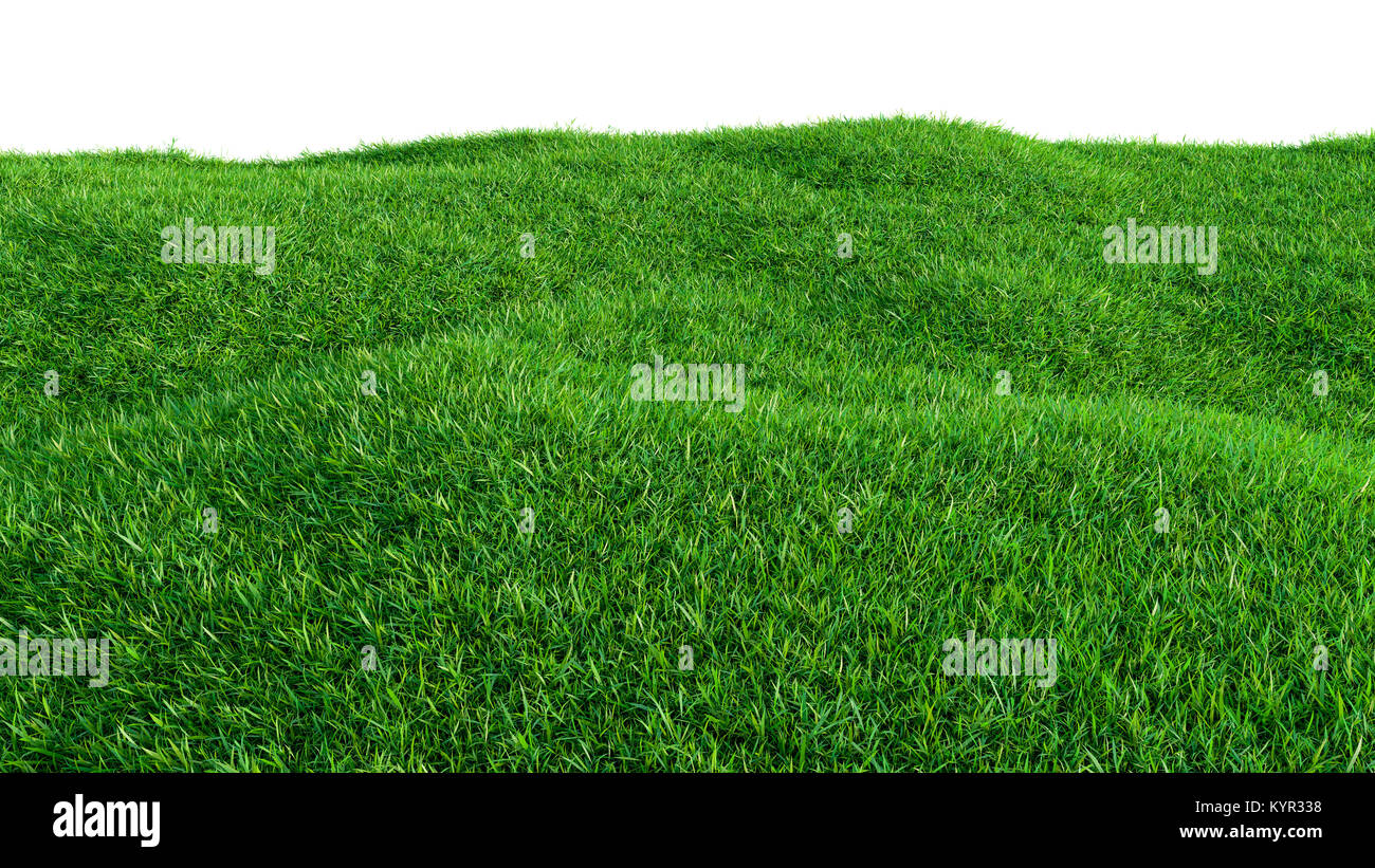 Green grass field isolated on white background Stock Photo - Alamy