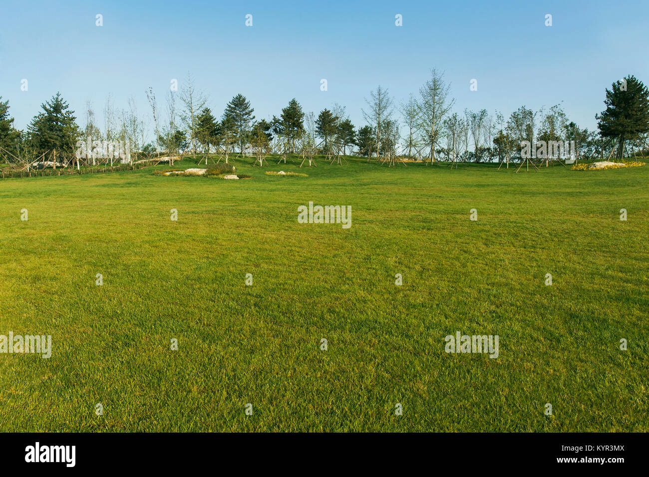 Charming scenery in a park Stock Photo - Alamy