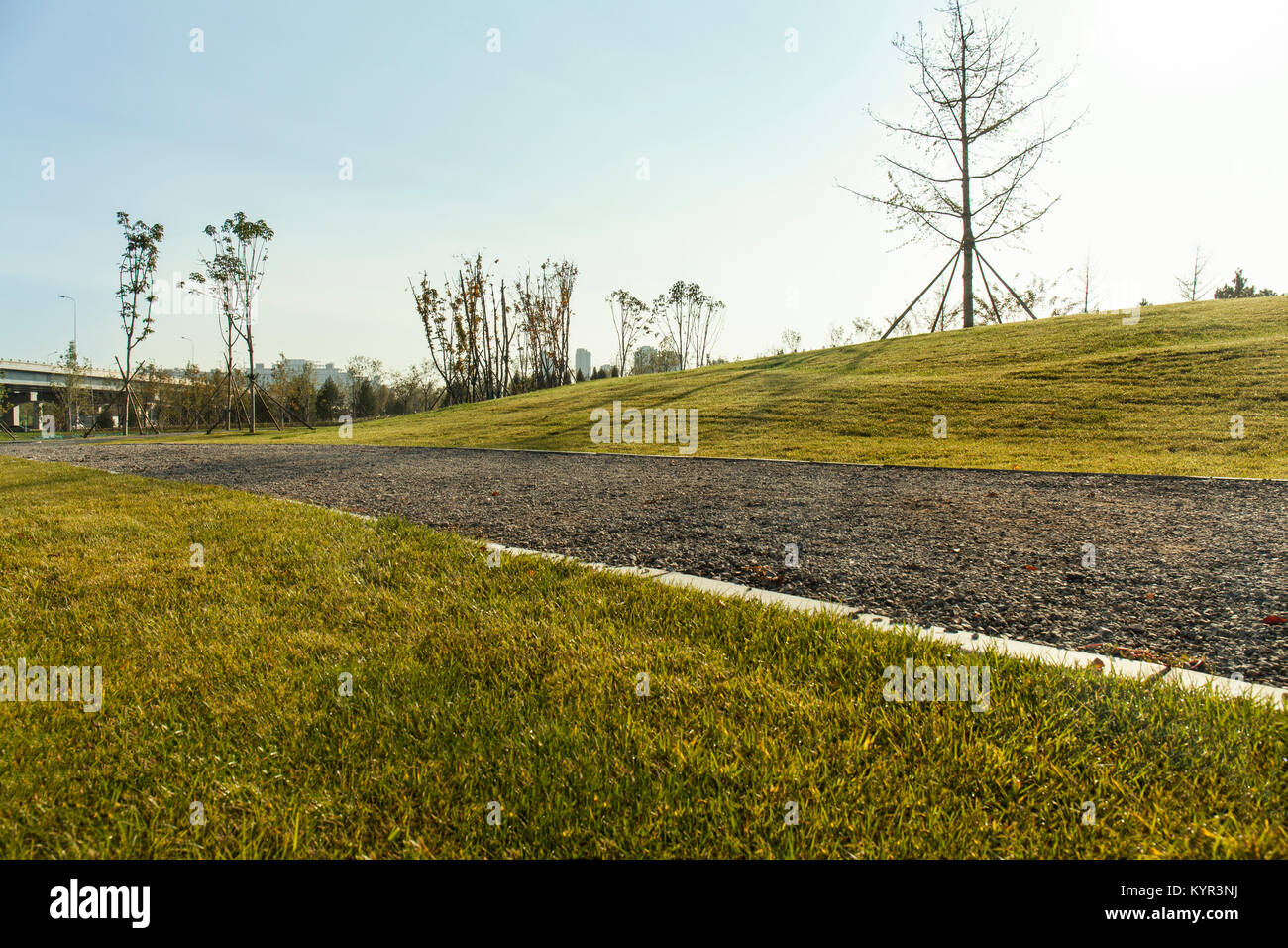 Charming scenery in a park Stock Photo - Alamy