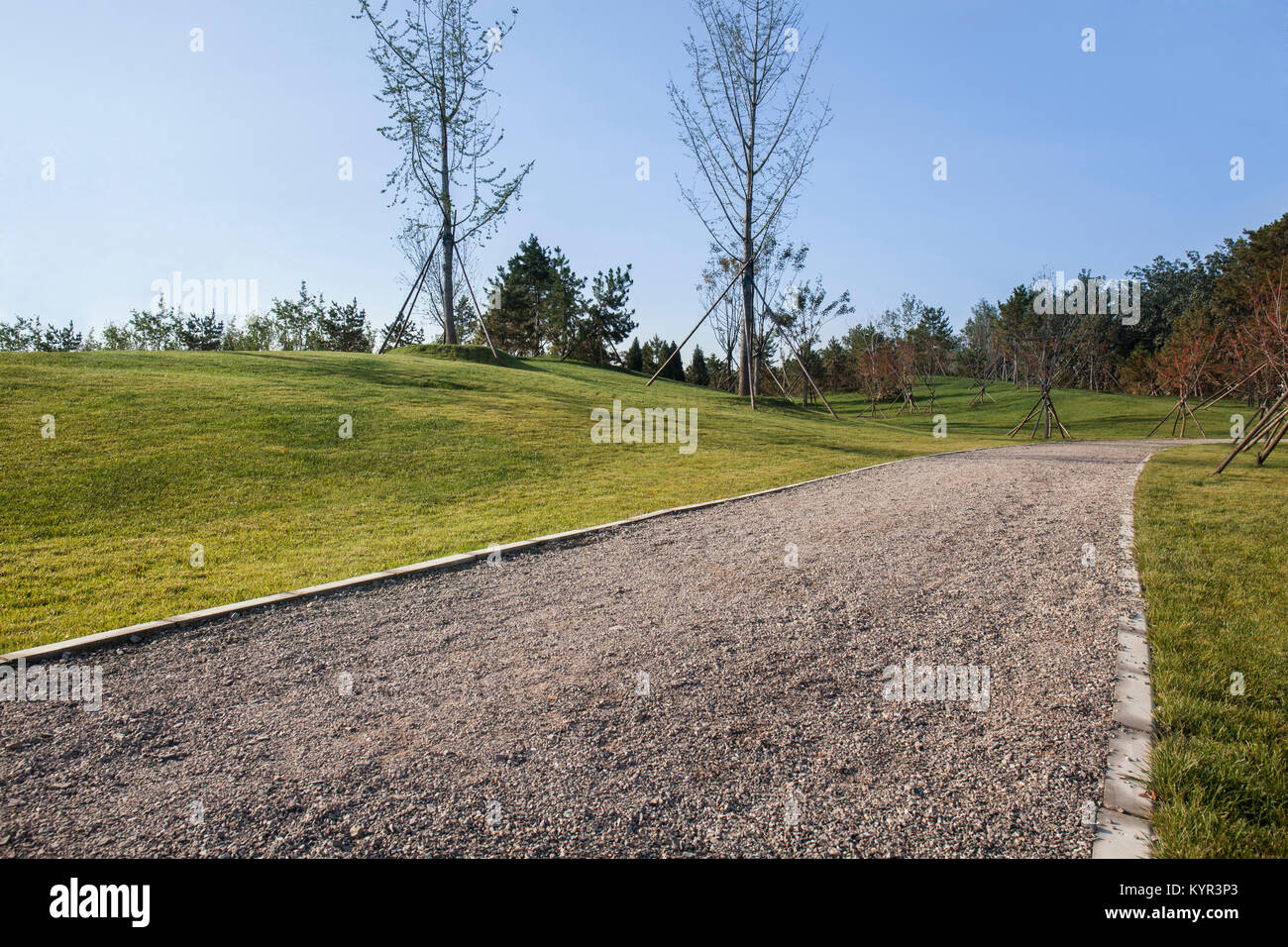 Charming scenery in a park Stock Photo - Alamy