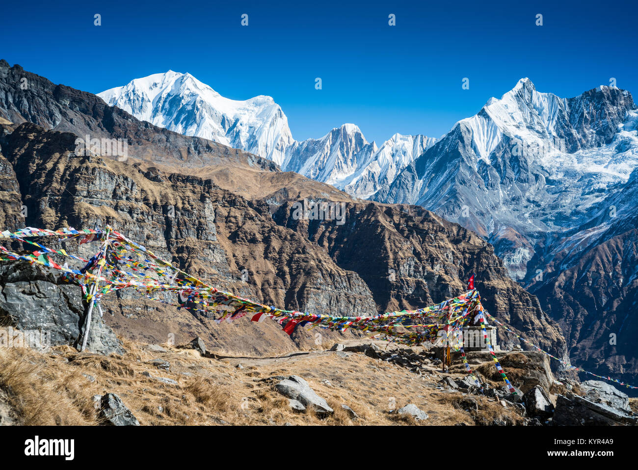Annapurna base camp, view to Mount Machhapuchchhre, Fish Tail, Nepal ...