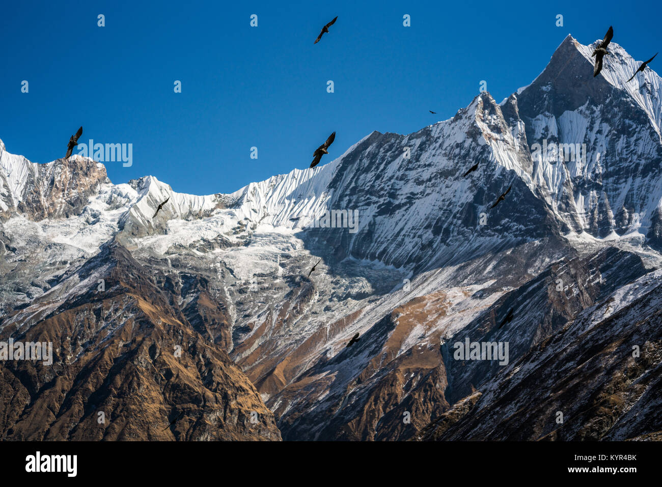 Annapurna base camp, view to Mount Machhapuchchhre, Fish Tail, Nepal ...