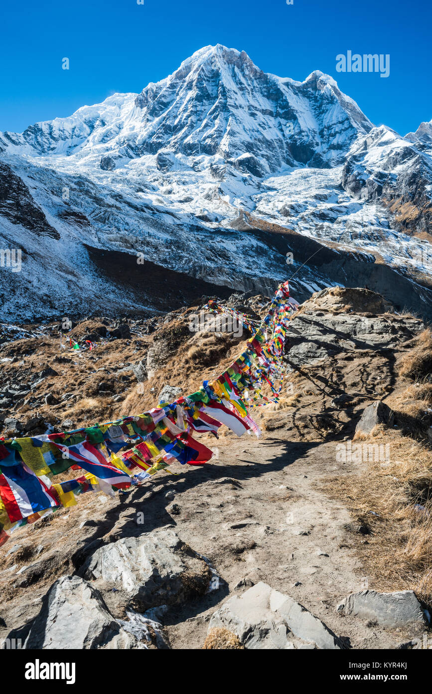 Annapurna base camp, ABC, Nepal, Asia Stock Photo - Alamy