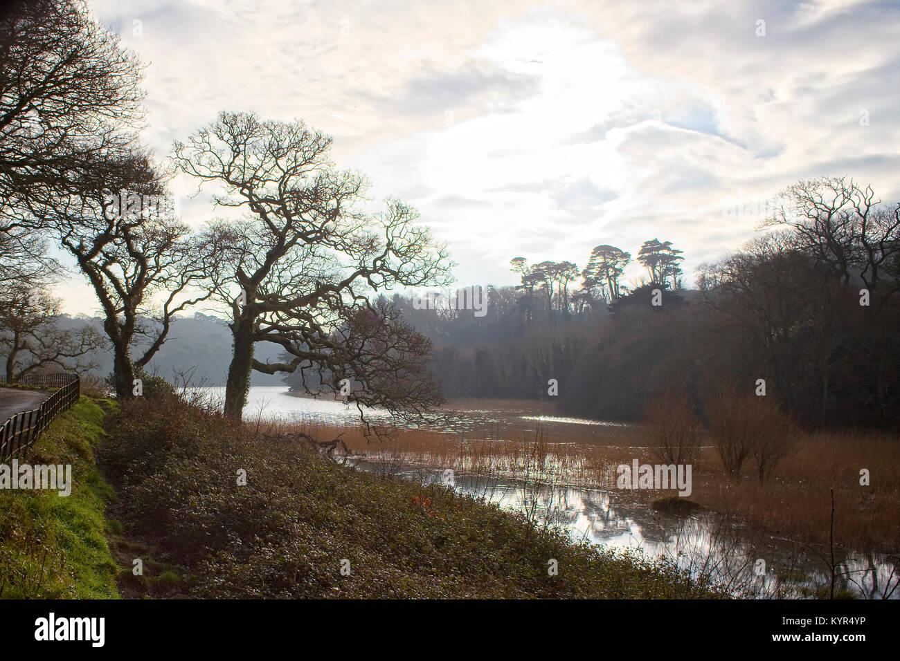 Moody light in Winter, Helston Loe Pool, Cornwall, England, UK Stock ...
