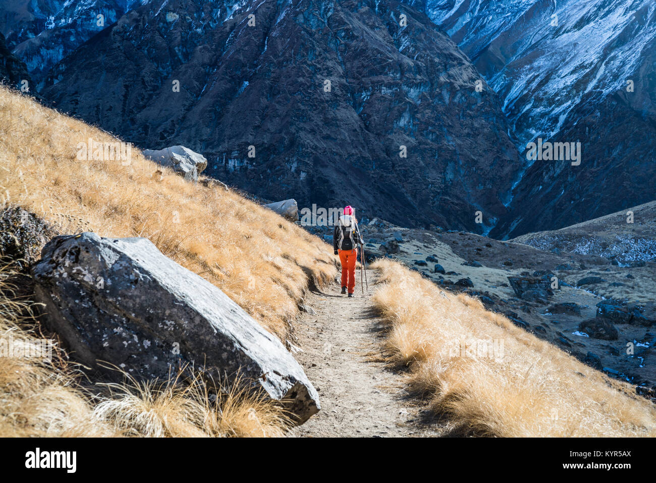 tourists on the ABC trek, Annapurna Base Camp in Nepal, Asia Stock ...