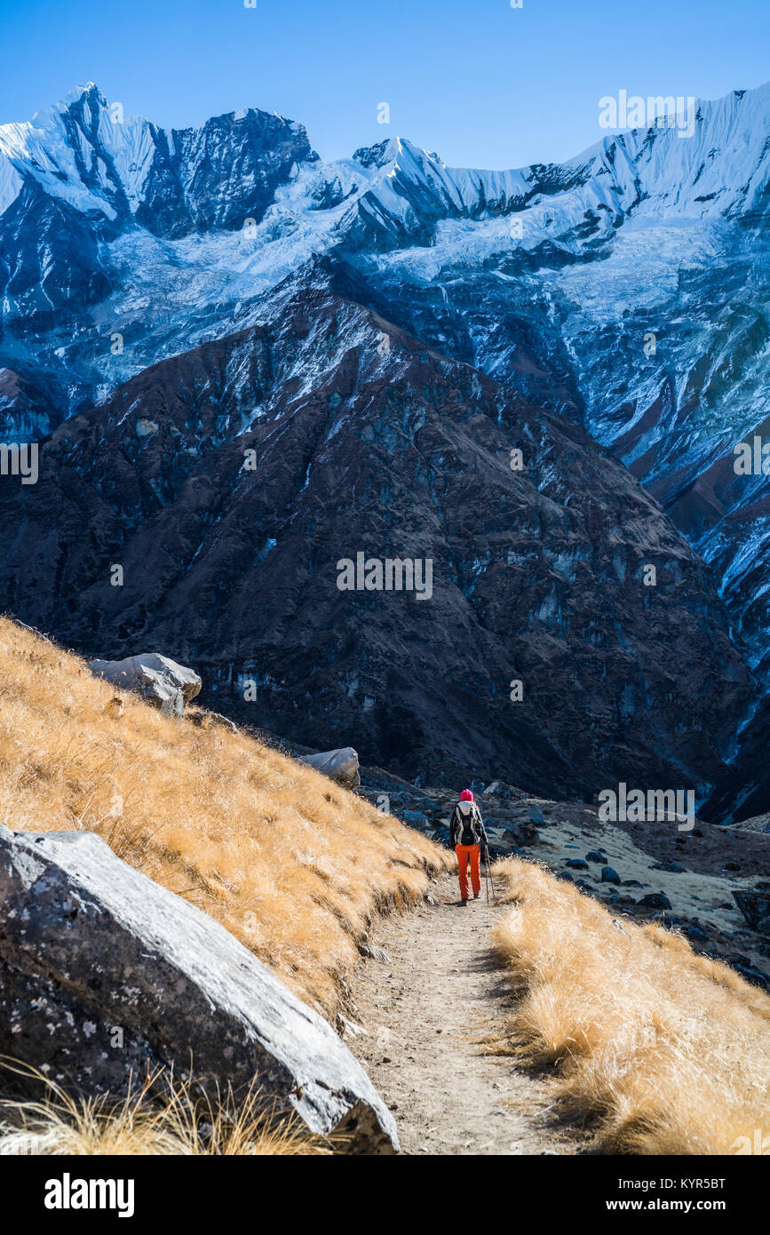 tourists on the ABC trek, Annapurna Base Camp in Nepal, Asia Stock ...