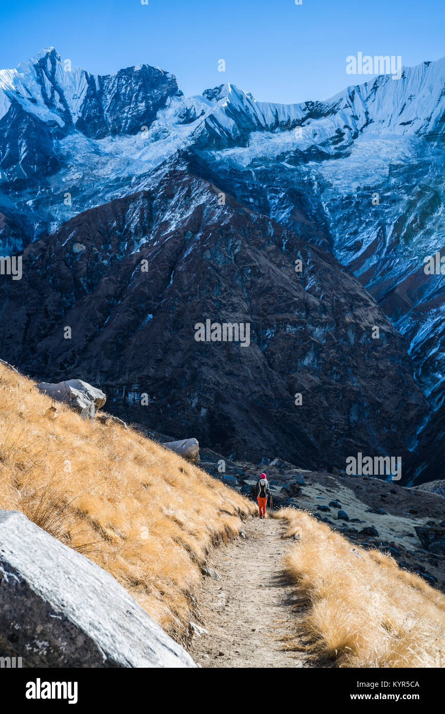 tourists on the ABC trek, Annapurna Base Camp in Nepal, Asia Stock ...