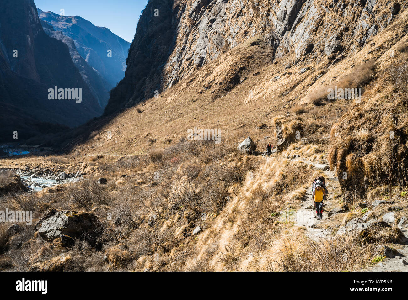 tourists on the ABC trek, Annapurna Base Camp in Nepal, Asia Stock ...