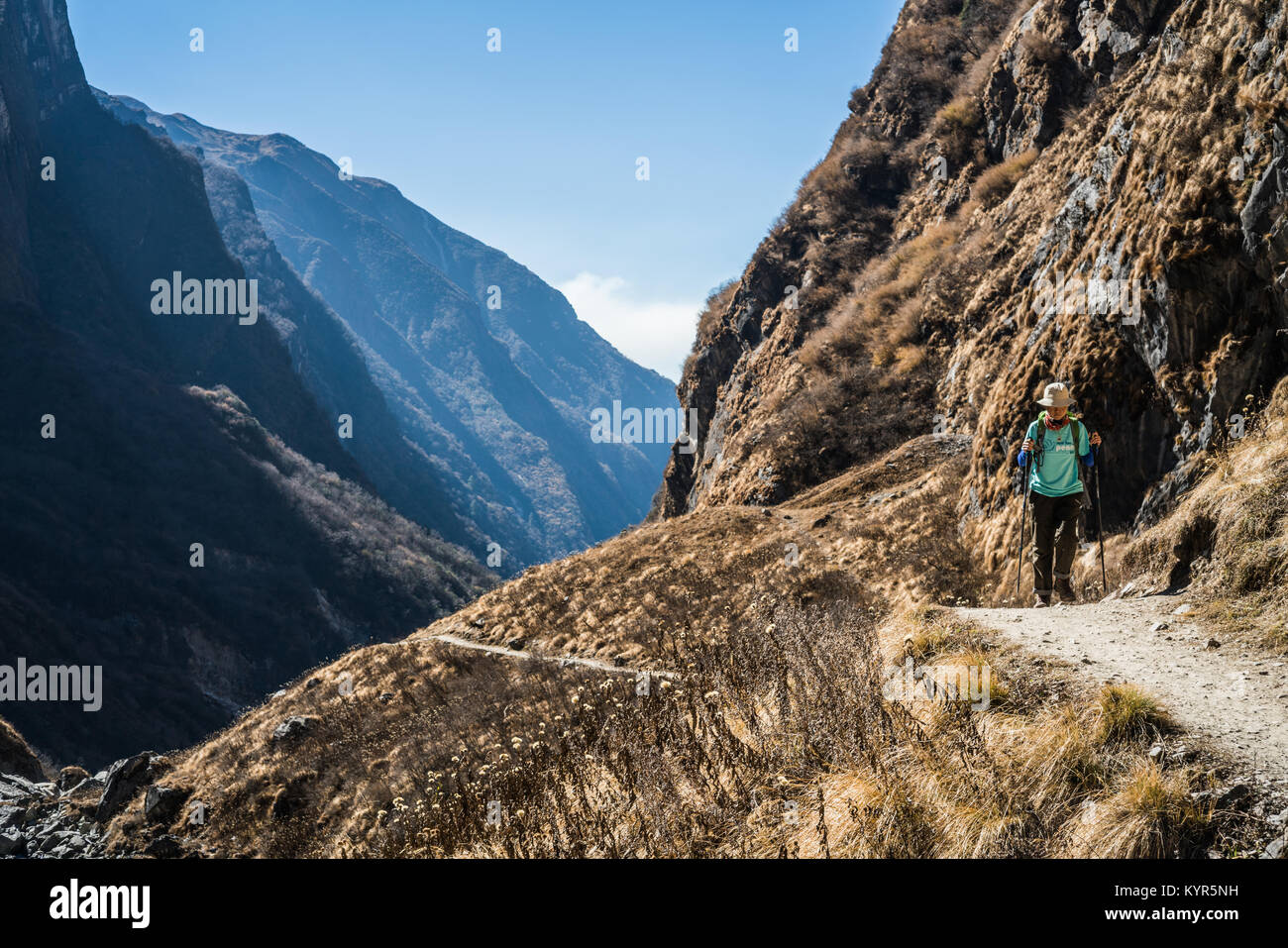 tourists on the ABC trek, Annapurna Base Camp in Nepal, Asia Stock ...