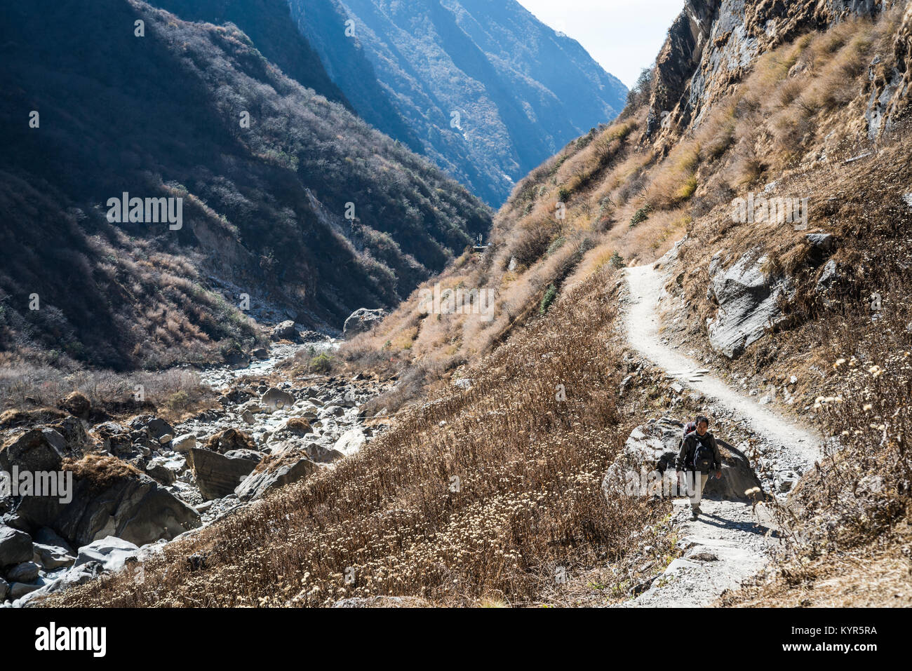 tourists on the ABC trek, Annapurna Base Camp in Nepal, Asia Stock ...