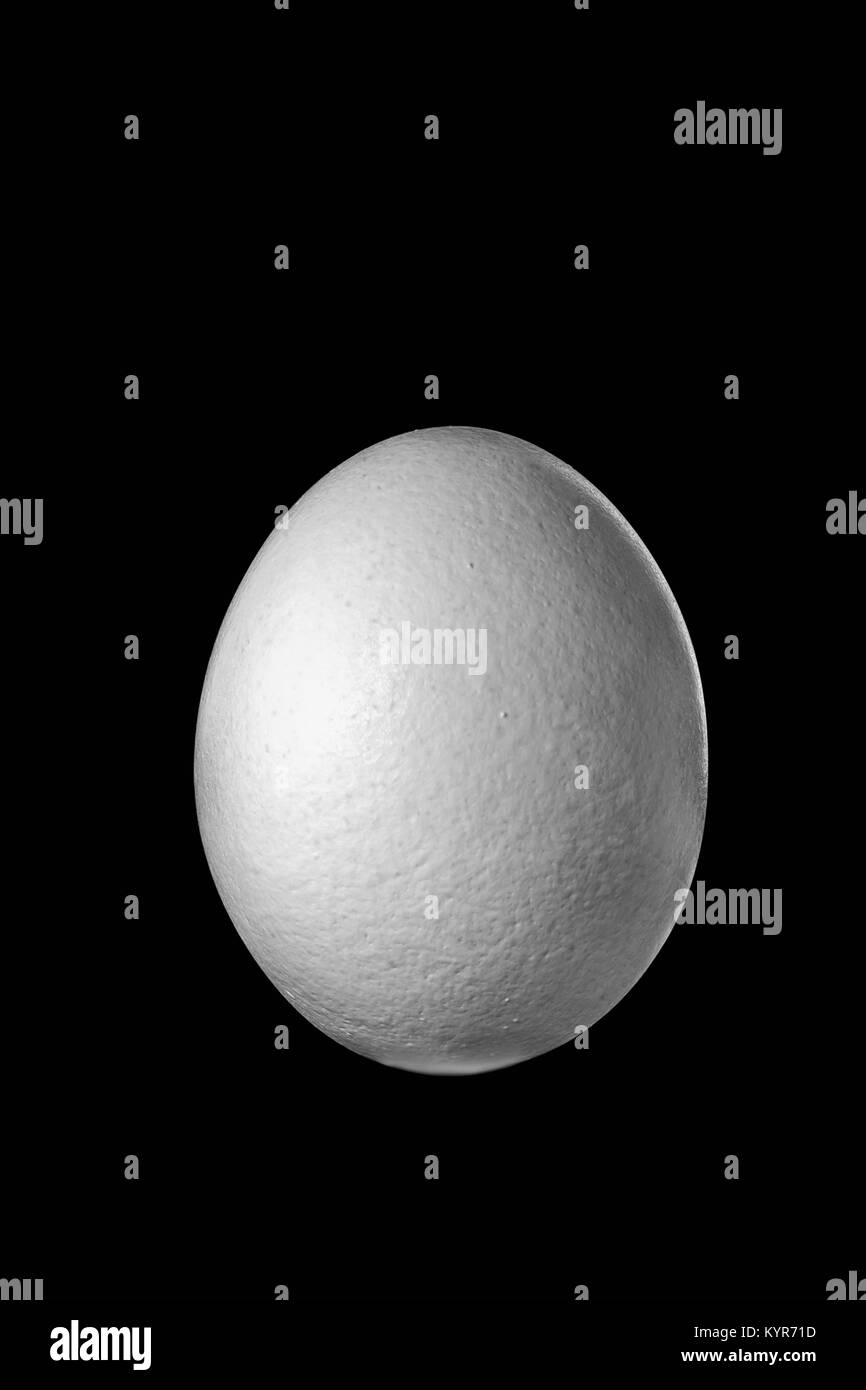 Full moon phase hi-res stock photography and images - Alamy