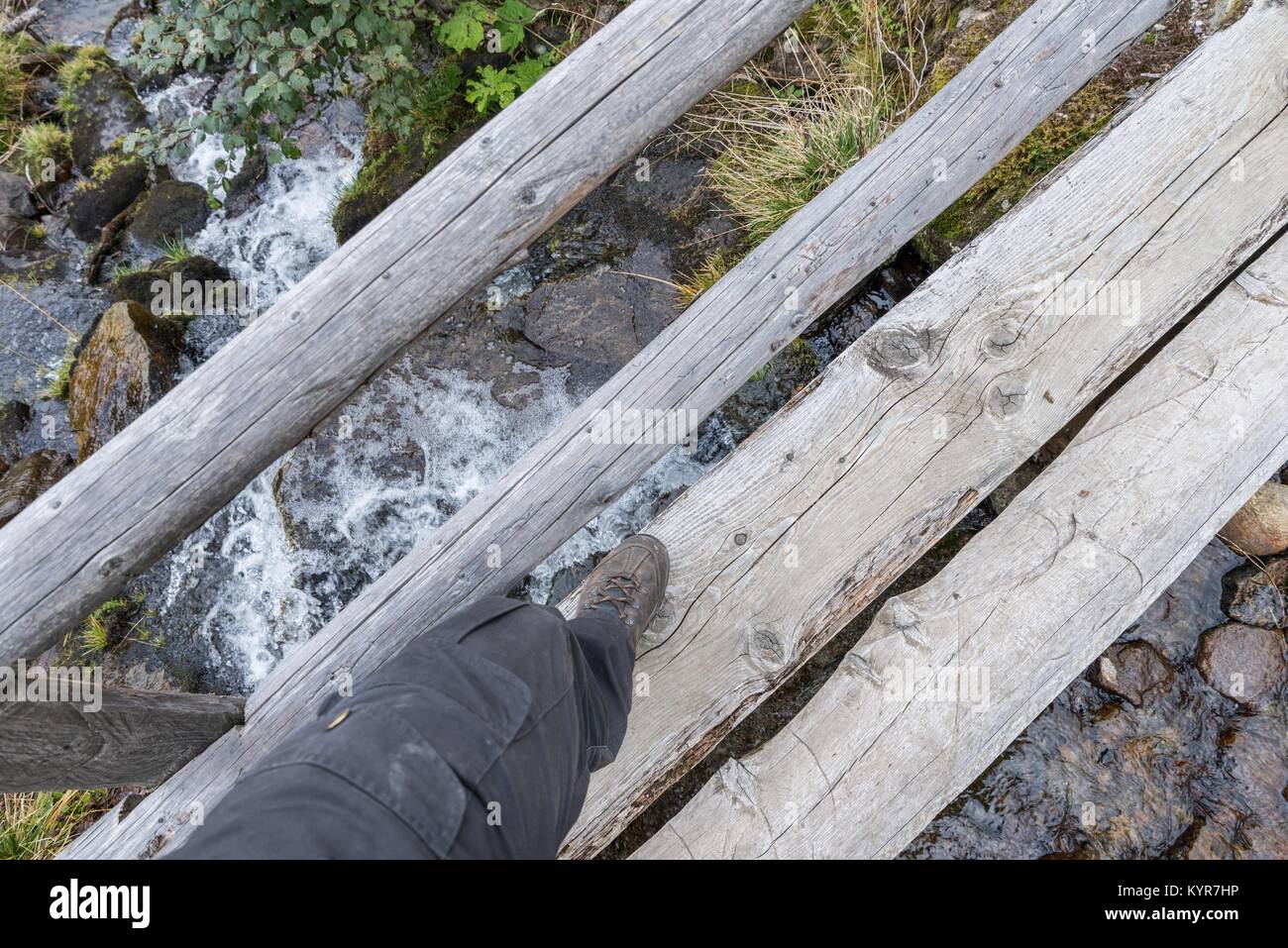 Tree trunk bridge over creek hi-res stock photography and images - Alamy