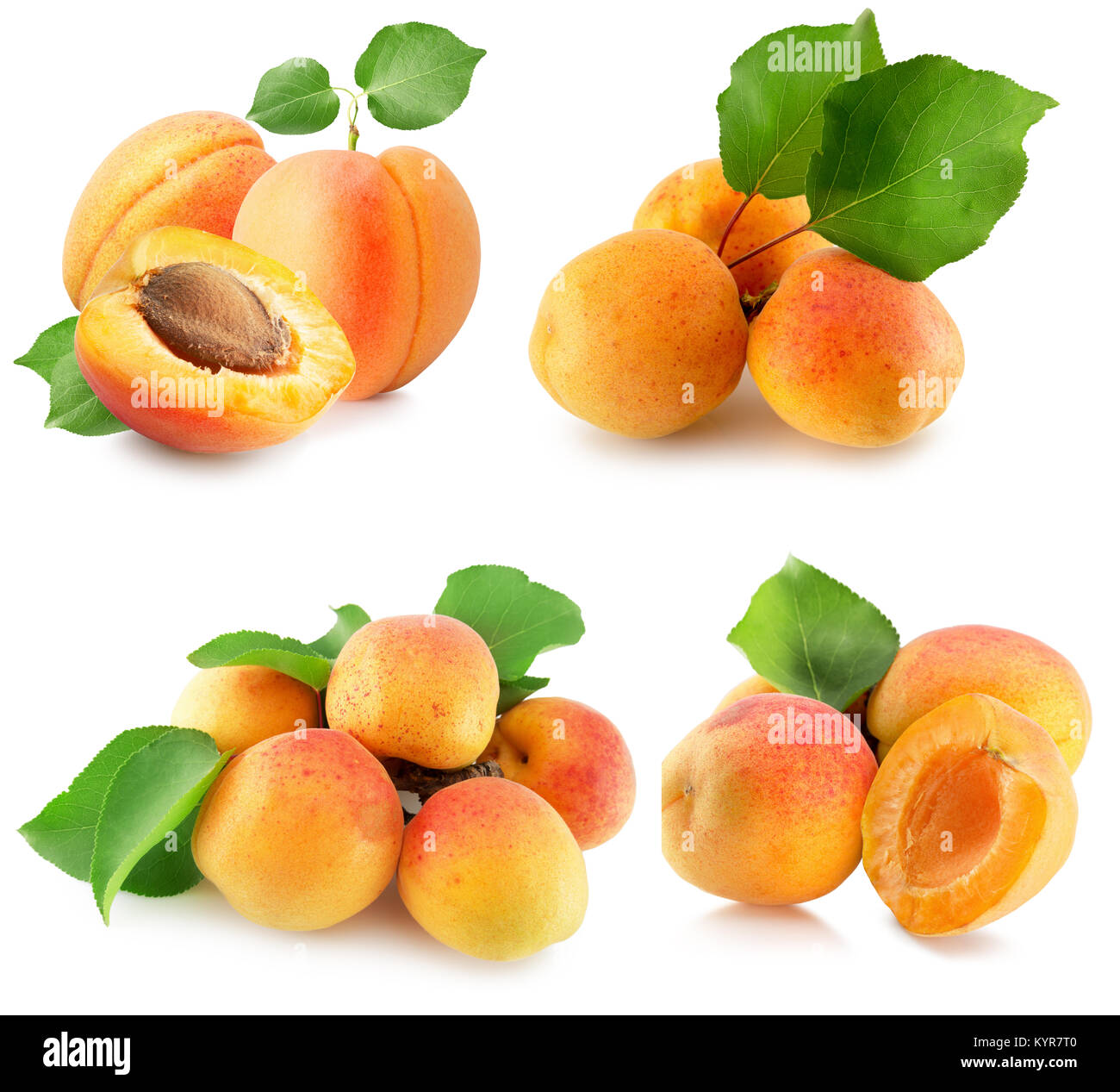 collection of apricots isolated on a white background Stock Photo - Alamy