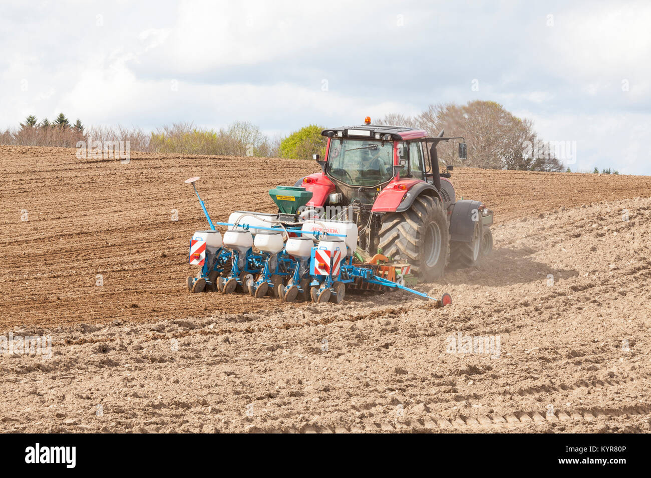 Farmer planting the spring crop of maize, Zea mays, using a Monosem NG4 ...