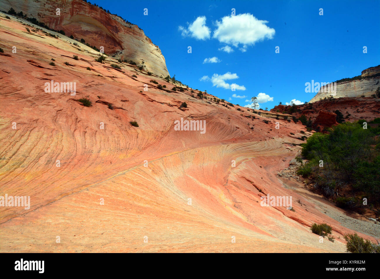 Rocky plateau in Zion National Park Utah featuring tan mesa Stock Photo ...
