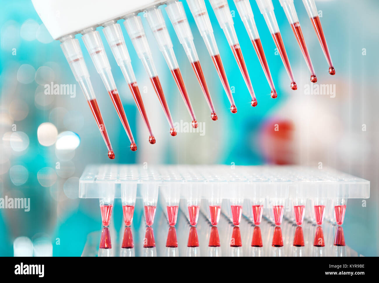 Multichannel pipette and multiwell plate for DNA amplification, shallow ...
