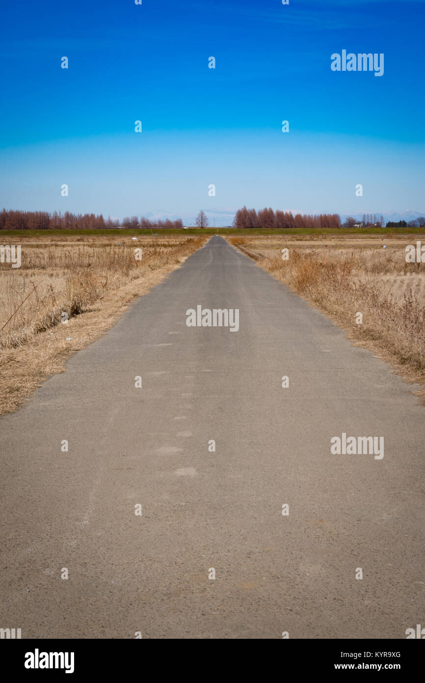 Straight rural road in the Japanese countryside Stock Photo - Alamy
