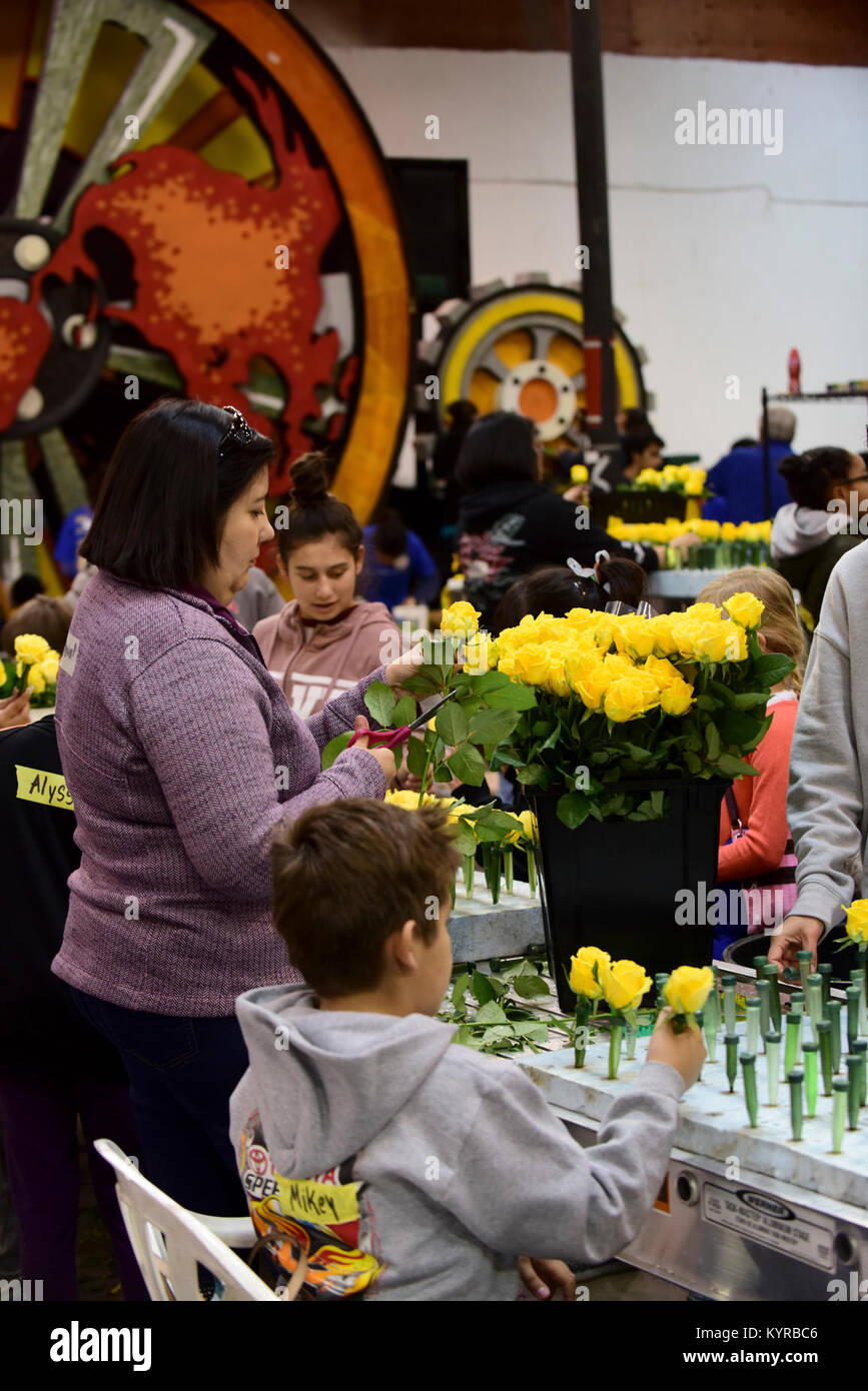 Volunteers prepare yellow roses to be placed on a Rose Parade float in ...