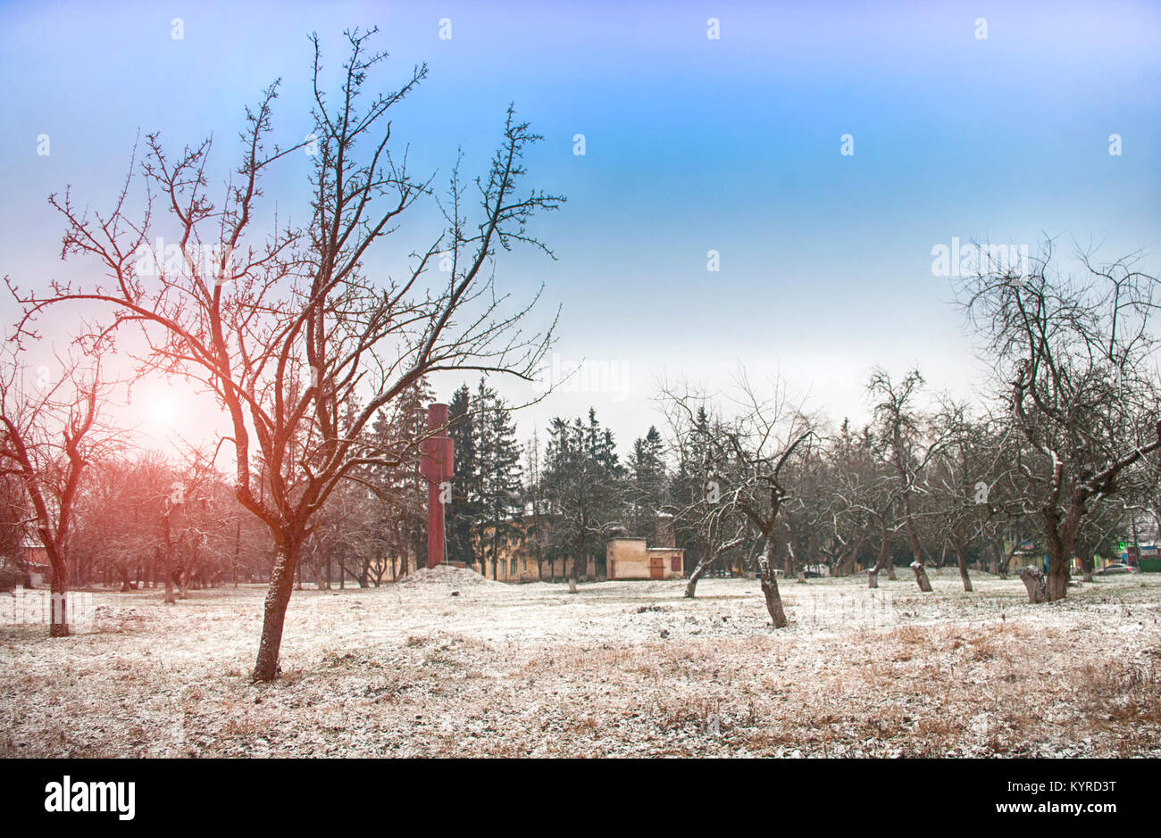 A winter garden, just after the snowfall Stock Photo - Alamy
