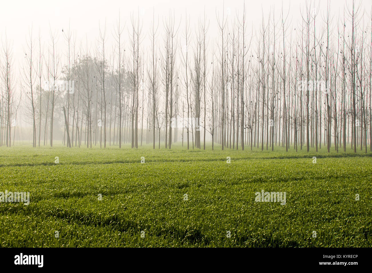 Creating more natural landscape hi-res stock photography and images - Alamy