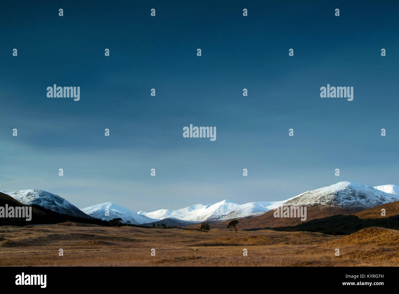 The Glen Etive Munros from Clashgour Estate, Argyll & Bute Stock Photo ...