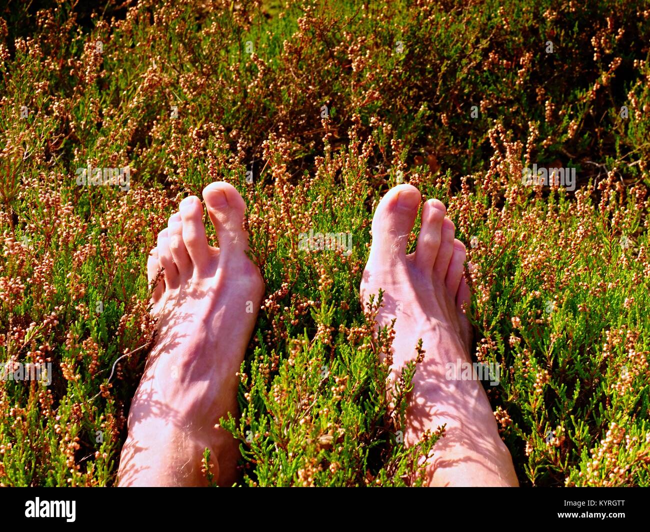 Male Hairy Legs High Resolution Stock Photography and Images - Alamy