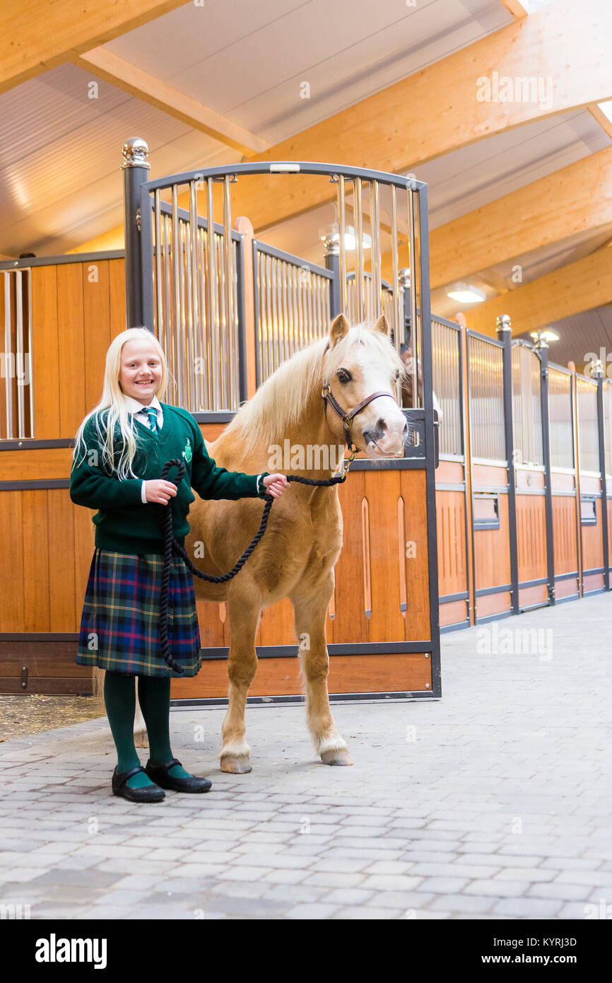 Welsh Mountain Pony, Section A. Girl leading a palomino gelding in a ...