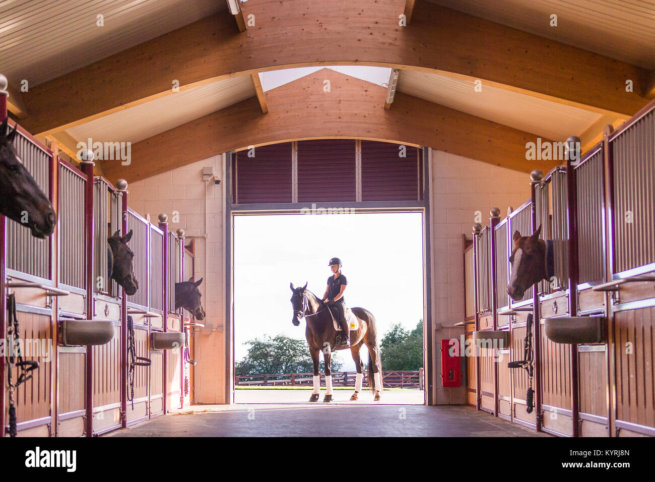 How to make a entrance hi-res stock photography and images - Alamy