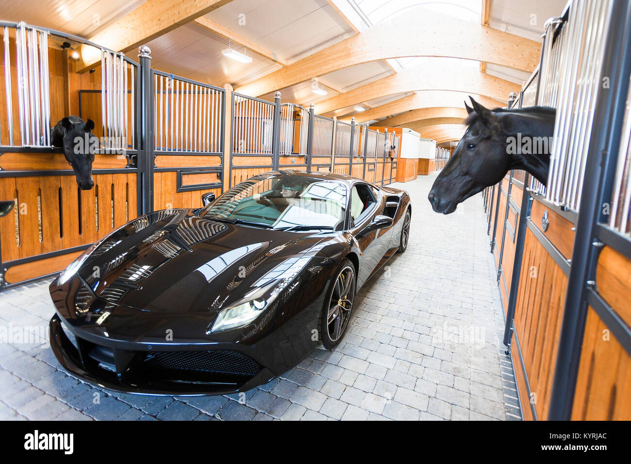 Ferrari horse hi-res stock photography and images - Alamy